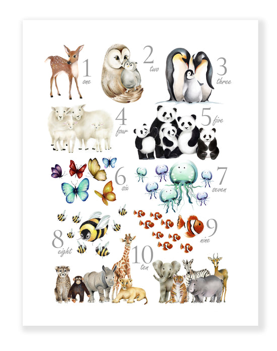 Animal Numbers Print – Studio Q - Art by Nicky Quartermaine Scott